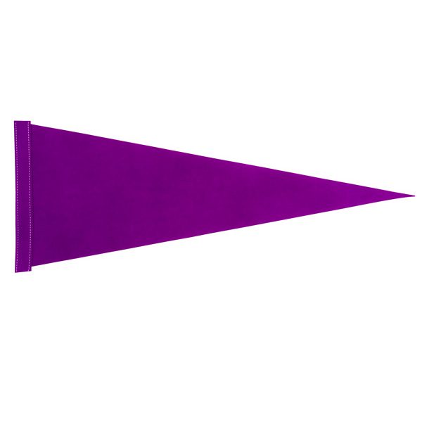 Custom Promotional Pennant - 8" x 18" | 4AllPromos
