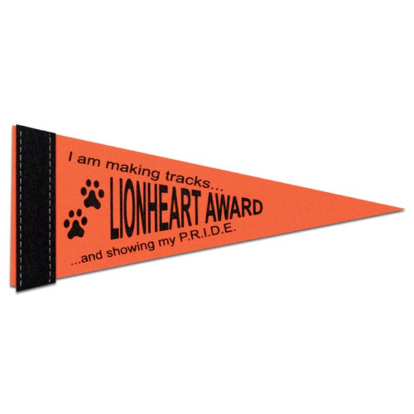 Promotional Color Felt Sport Pennant | Promotional Pennants