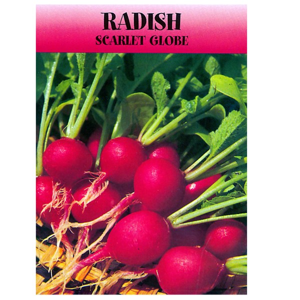 Custom Logo Radish Seed Packet